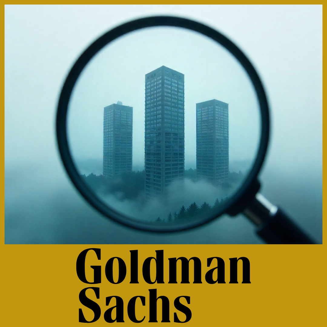 Goldman Sachs Global Small Cap CORE Equity Portfolio | Análisis